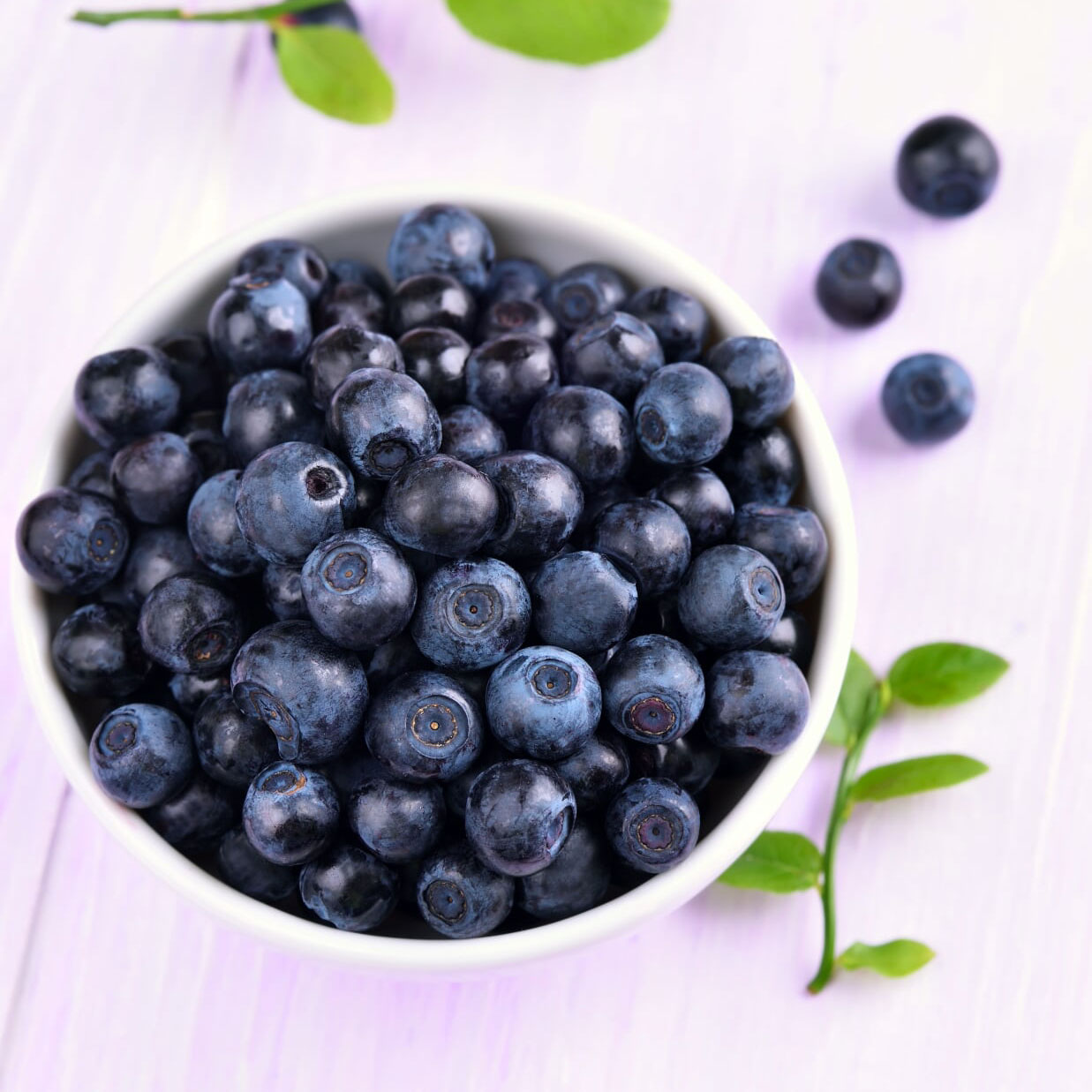 Blueberries For Baby Food Stage 1 And 6 Months Of Age Wholesome Baby 